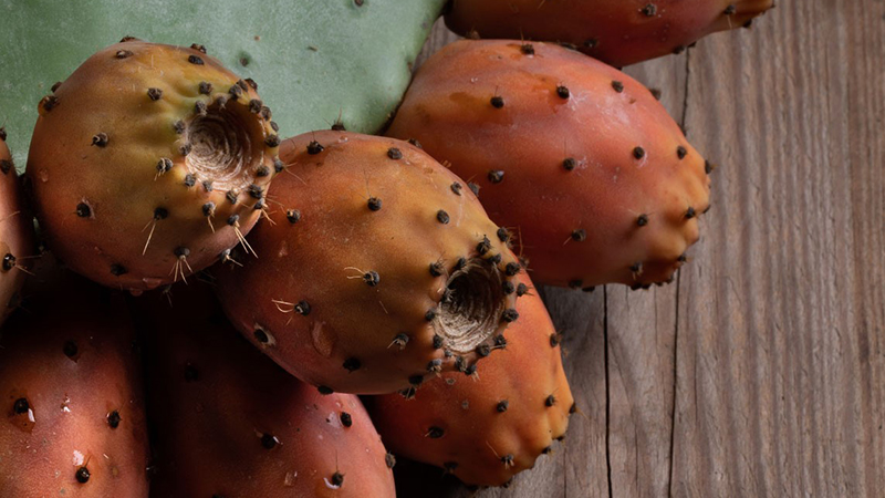 Bionap: Innovative and sustainable solutions at Vitafoods 2019