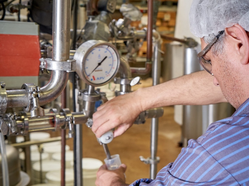 Burcon launches ingredient processing and scale up services