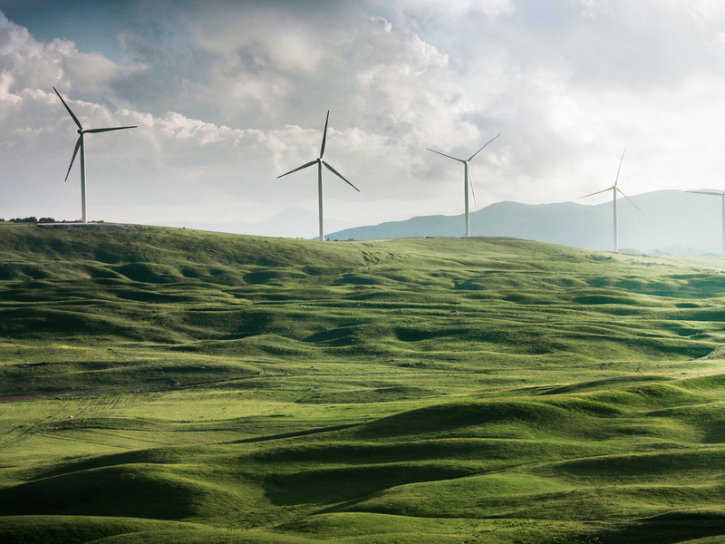 Natural product manufacturer NOW reaches sustainability milestones