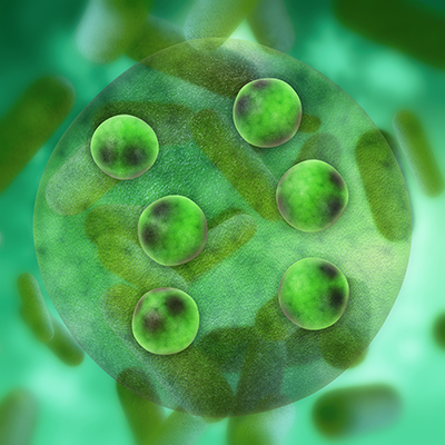 Polaris introduces the ultra-stable, green Omega-3 oil of the future