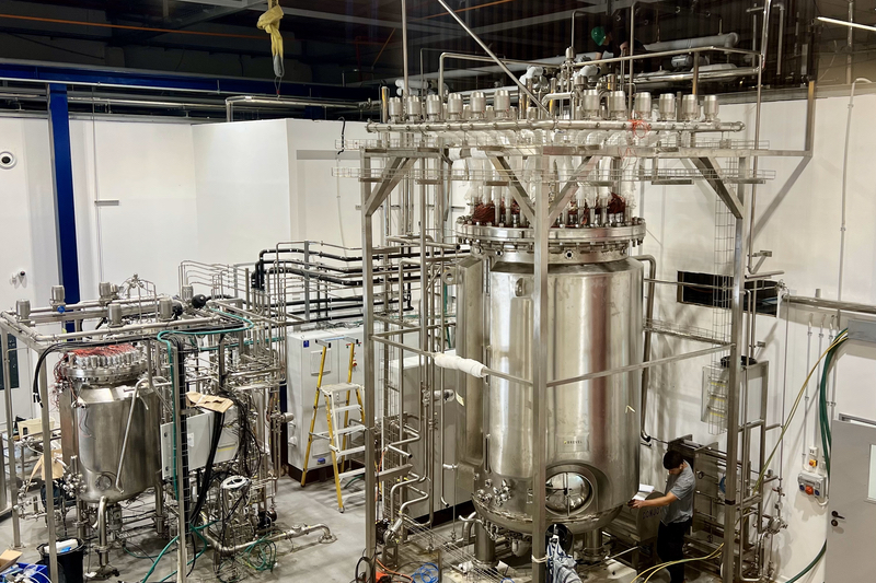 Brevel completes construction of industrial-scale microalgae ...